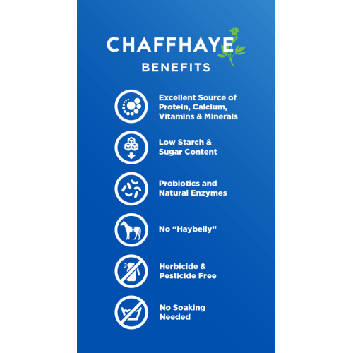 Chaffhaye Premium Cultured Alfalfa