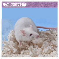 ALPHA-dri Bedding | Lab Supply