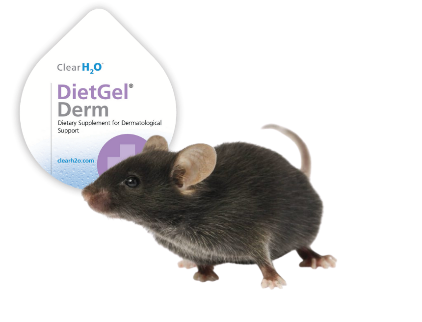DietGel® Derm by ClearH20: A Revolutionary Nutritional Supplement for ...